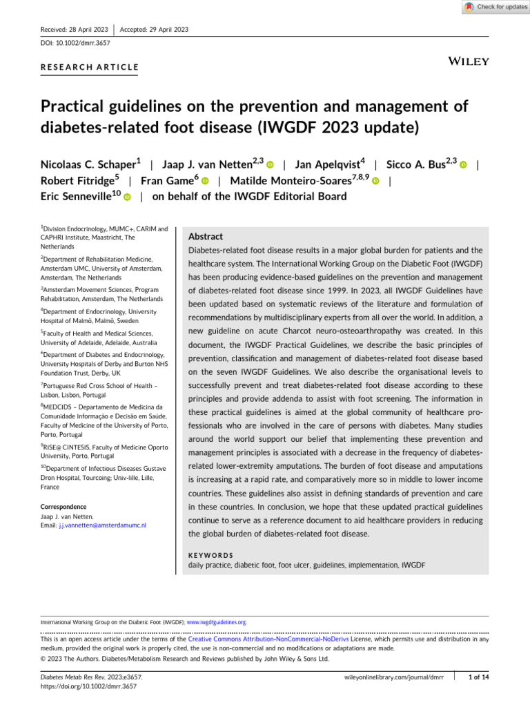 2023 IWGDF Guidelines for Diabetic Foot Disease | PDF | Foot ...