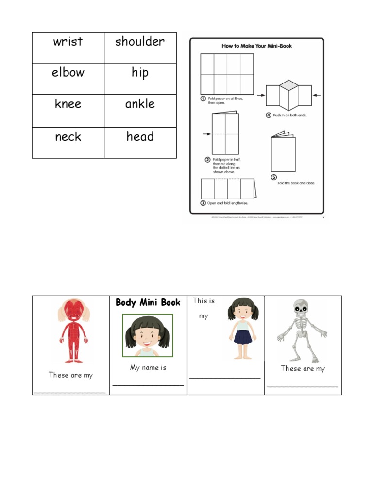 My Body Mini Book Template | PDF