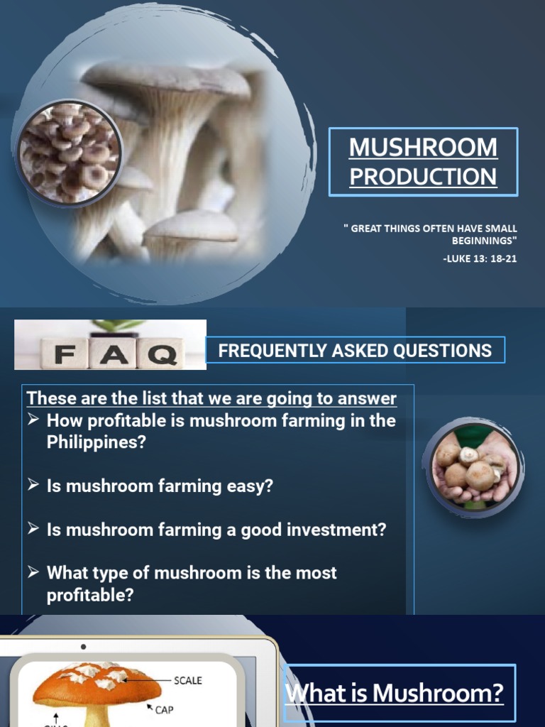 Mushroom Production and Management | PDF | Edible Mushroom | Agriculture