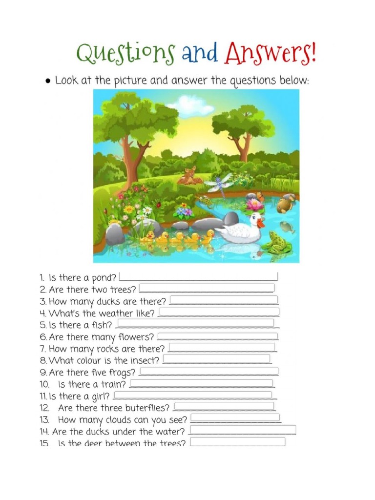 Questions and Answers The Pond | PDF