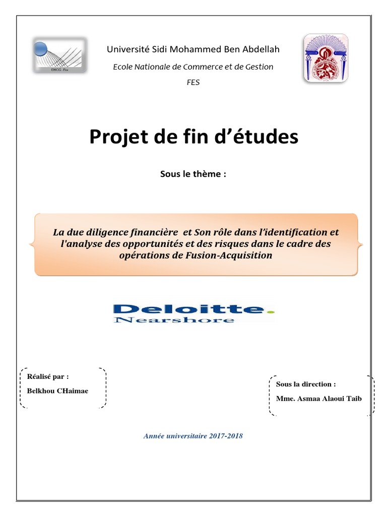 Rapport PFE Version Finale | PDF | Fusions et acquisitions | Business