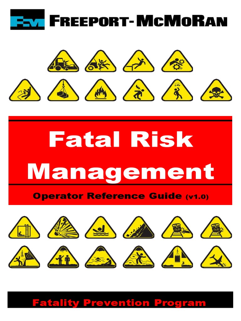Fatal Risk Management Guide | PDF | Insulator (Electricity) | Safety