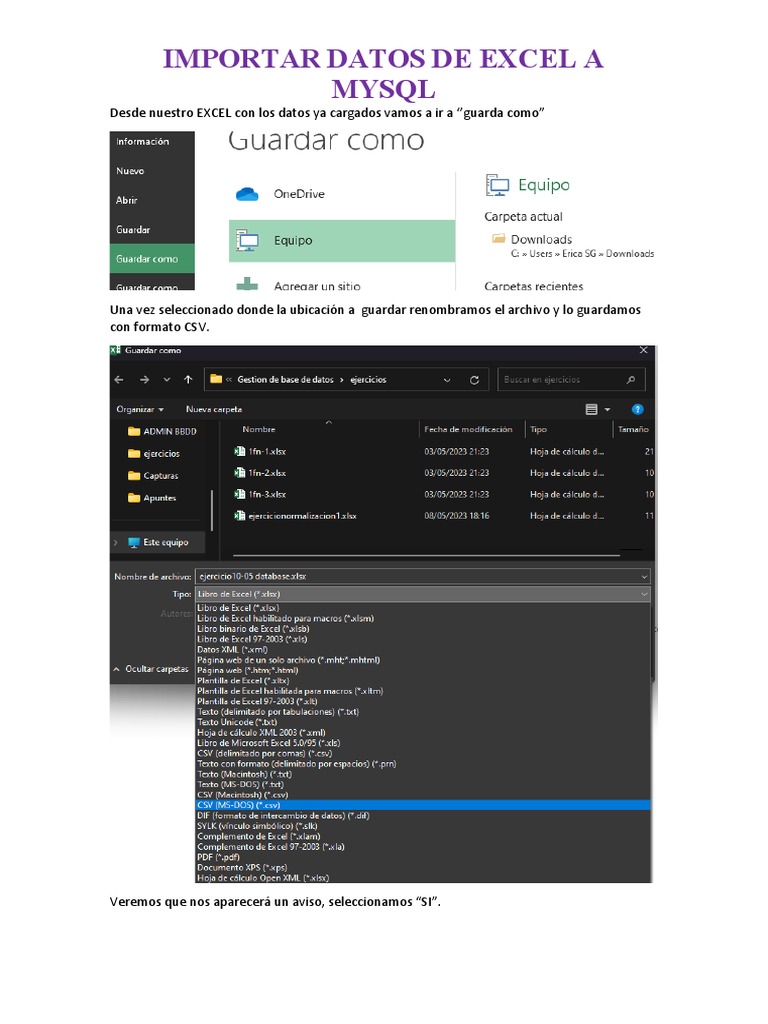 Importar Excel a MySQL Paso a Paso | PDF
