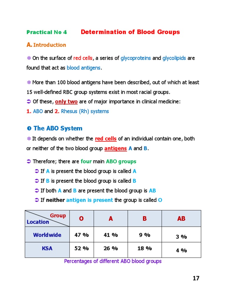 Blood Groups | PDF | Blood Type | Animal Anatomy