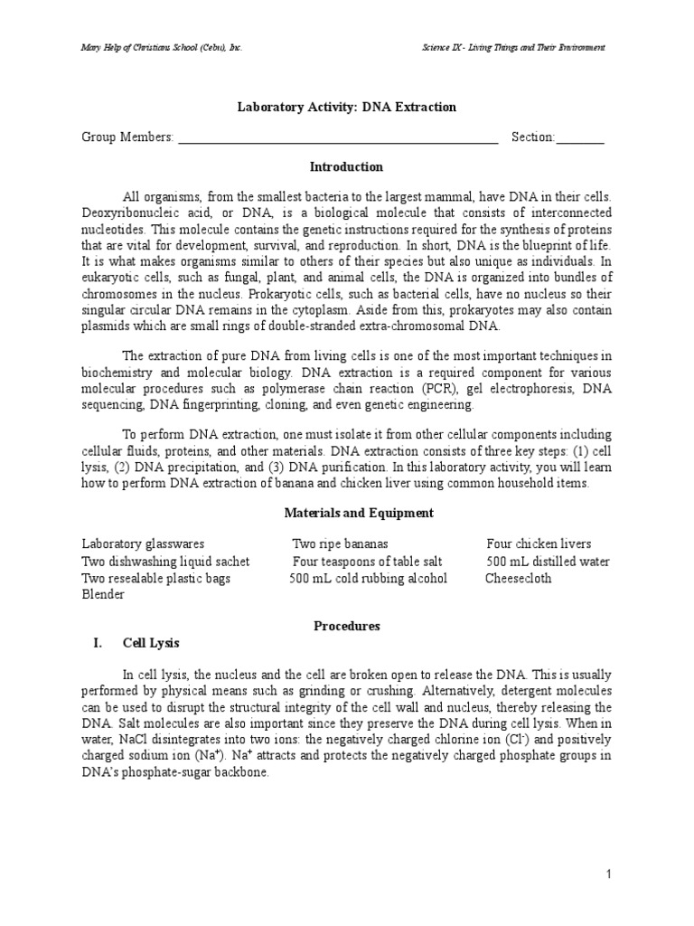 DNA Extraction Grade 9 5 | PDF | Dna | Cell (Biology)