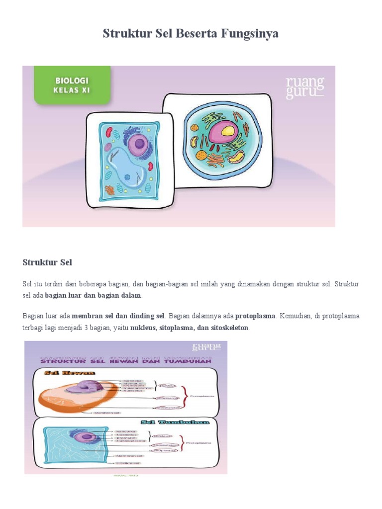Struktur Sel Beserta Fungsinya | PDF