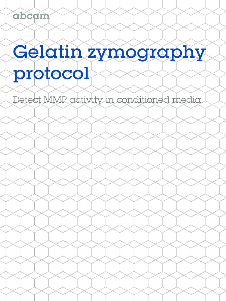Gelatin Zymography for MMP Detection | PDF | Chemistry | Biochemistry