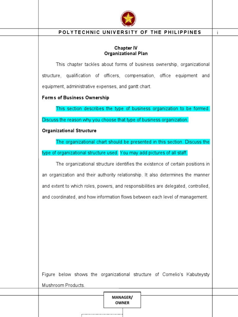 Chapter 4-Organizational Plan | PDF | Expense | Employment