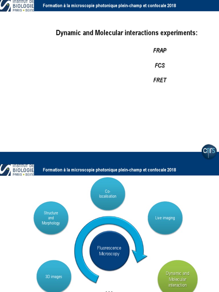 Lam - Frap Fret FCS | PDF | Confocal Microscopy | Laboratories