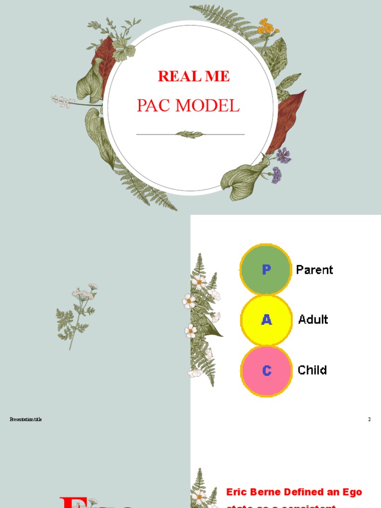 Pac Model | PDF | Thought | Id