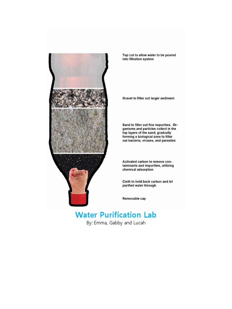 Water Purification Lab | PDF | Filtration | Water