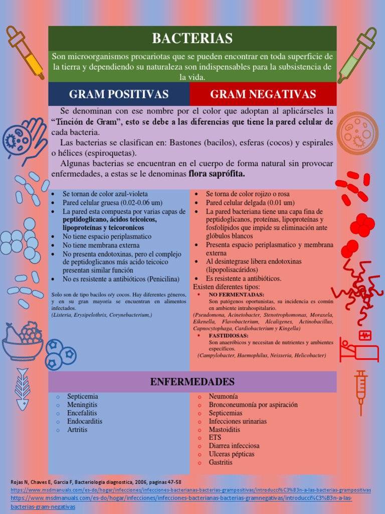 Esquema de Bacterias Gram Positivas y Negativas | PDF | Bacterias Gram-negativo | Las bacterias