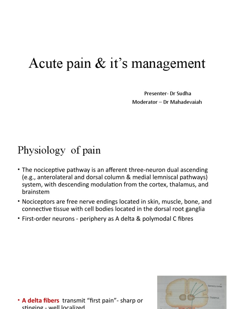 Acute Pain Management | PDF | Analgesic | Pain
