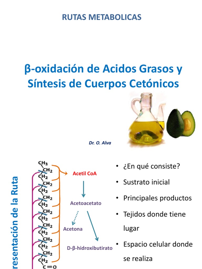 05 Beta Oxidacion de Acidos Grasos | PDF 05 Beta Oxidacion de Acidos Grasos | PDF