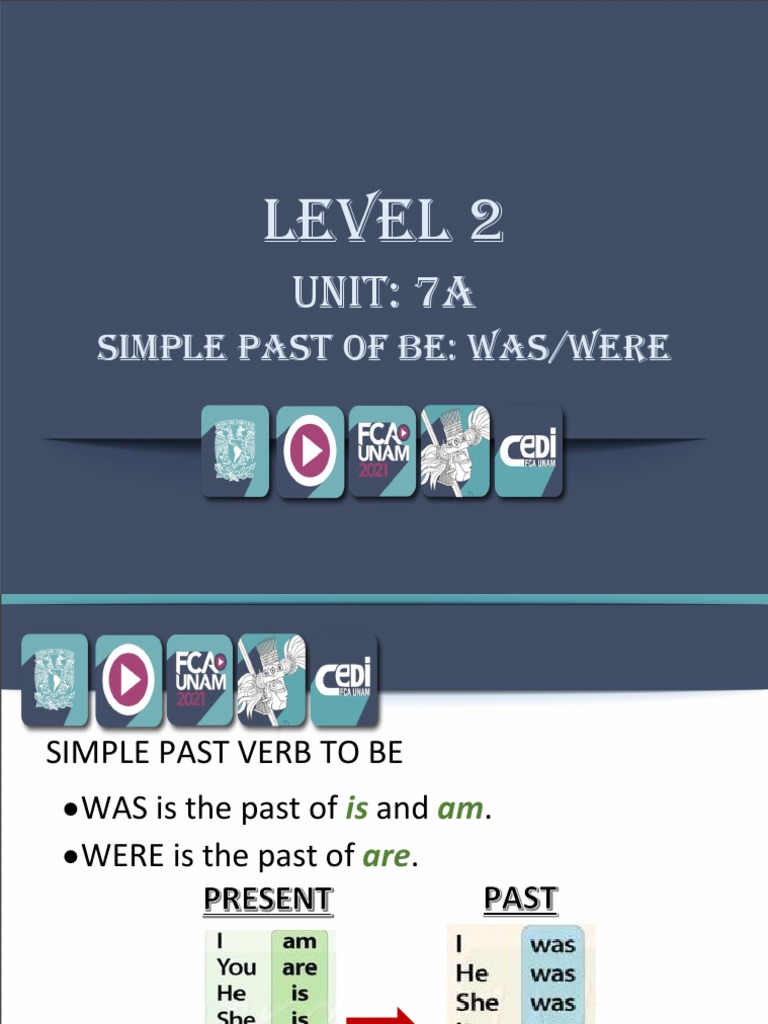 Level 2 Unit 1 Simple Past IV | PDF