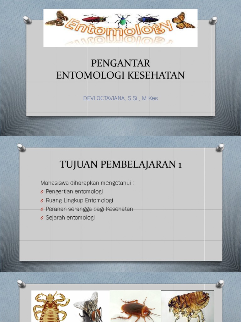 Pengantar Entomologi Kesehatan | PDF