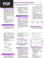 HINTS para Diagnóstico de Vertigem | PDF | Vertigem | Sistema vestibular
