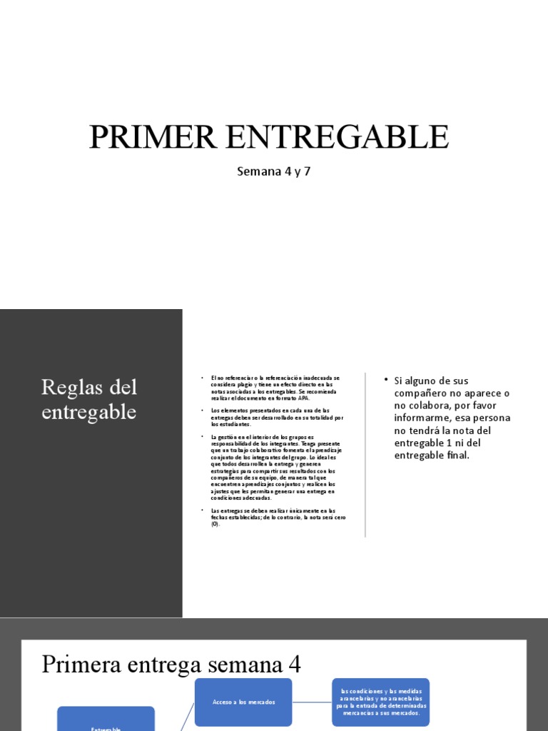 Primer Entregable | PDF | Economias