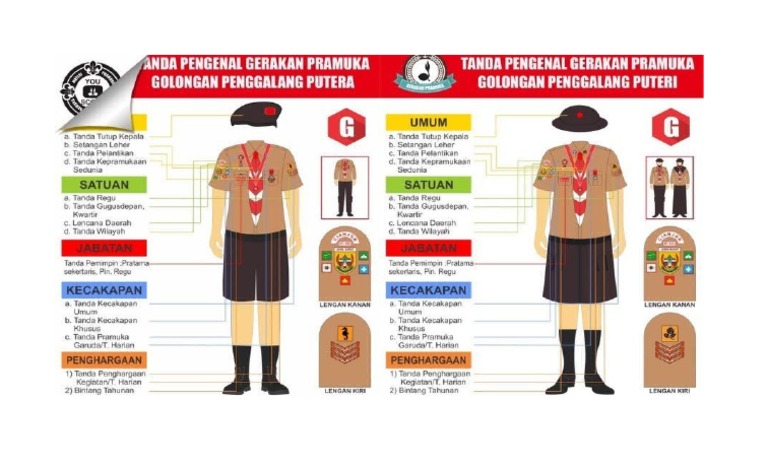 Tanda Pengenal Pramuka | PDF
