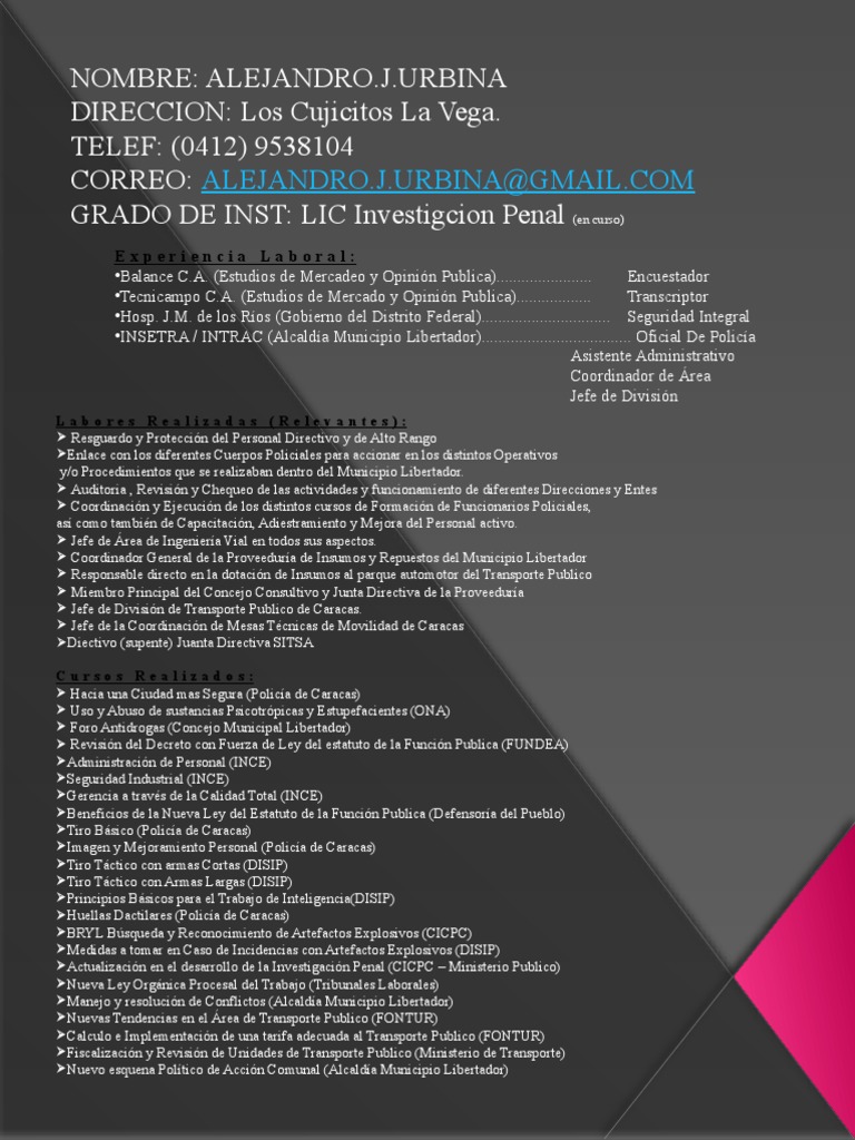 Curriculum Ale | PDF | Policía | Gobierno