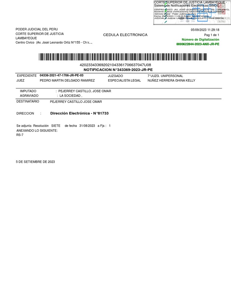 Exp. 04336-2021-47-1706-JR-PE-03 - Consolidado - 343369-2023 | PDF ...