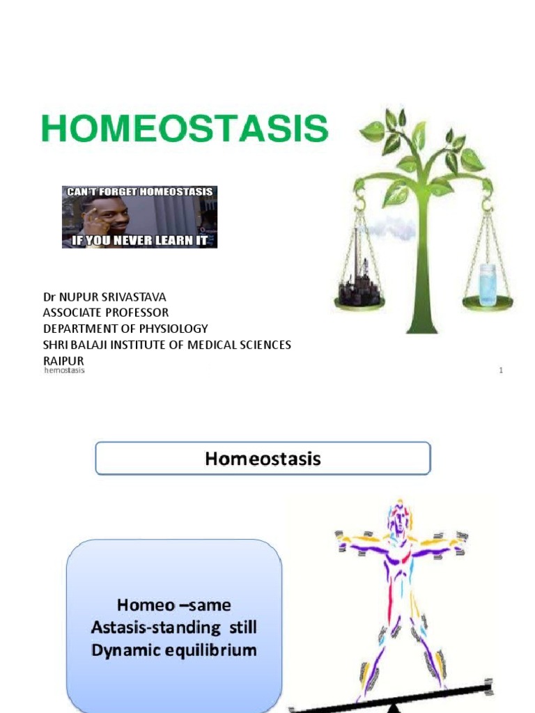 Homeostasis | PDF