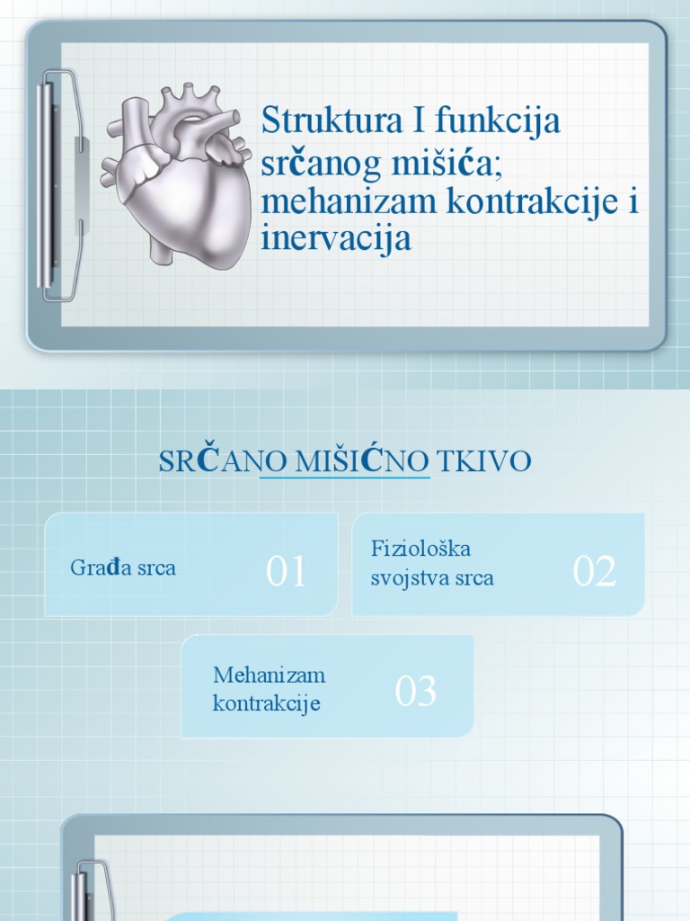 Struktura I Funkcija Srčanog Mišića - Mehanizam Kontrakcije I ...