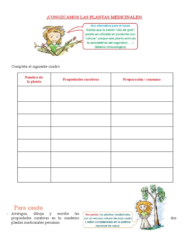 Fichas de Plantas Medicinales para Niños | PDF | Cocina, comidas y vino