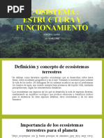 Triptico Ecosistema Terrestre | PDF | Ecosistema | Suelo