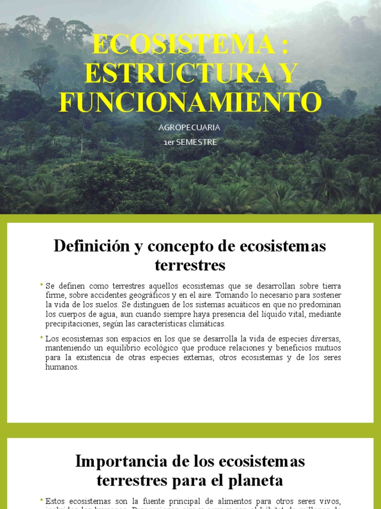Ecosistemas Terrestres: Clave y Desafíos | PDF | Ecosistema | Suelo