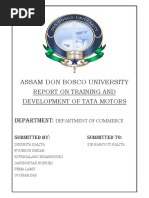 BCG Matrix Analysis of Tata Motors | PDF