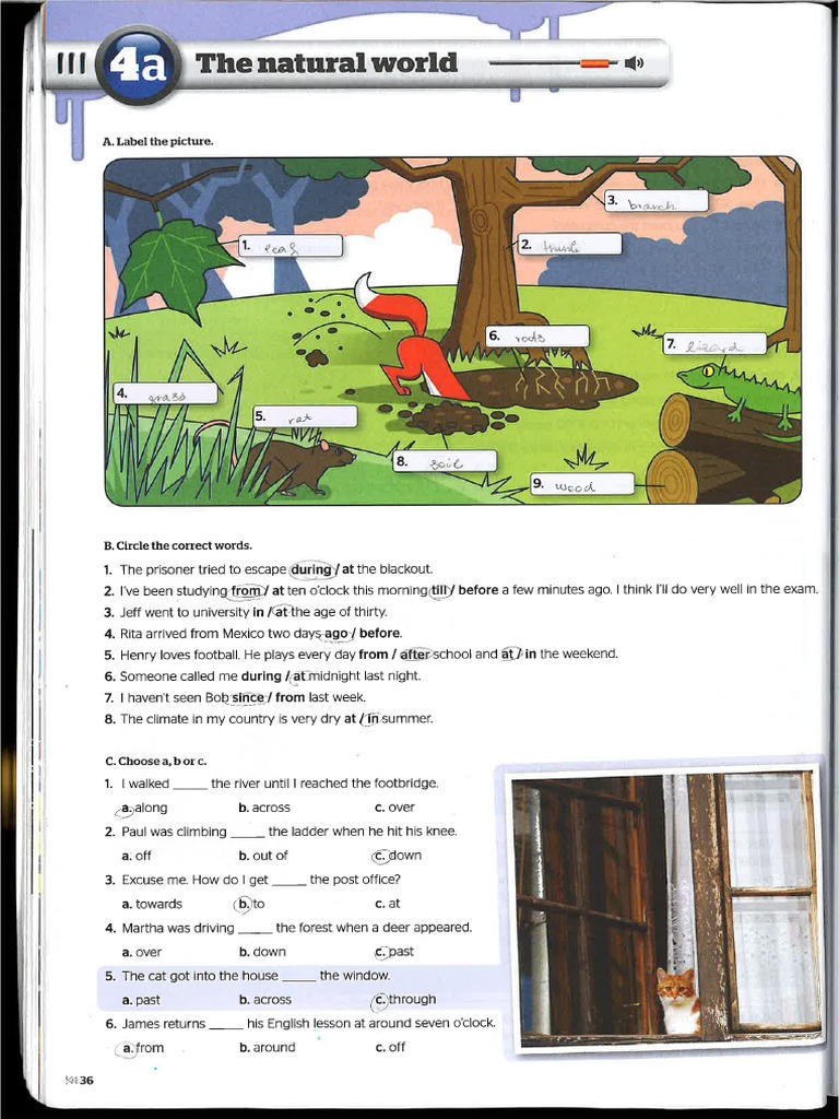 Full Blast WB unit 4 | PDF