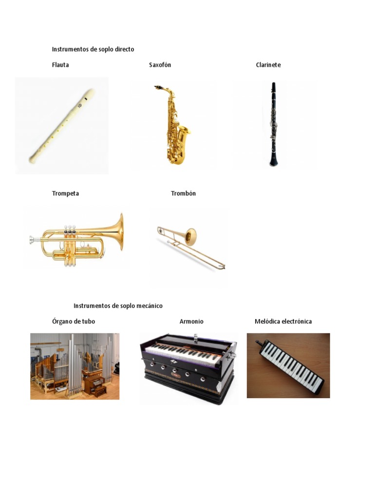 Instrumentos de Soplo Directo | PDF