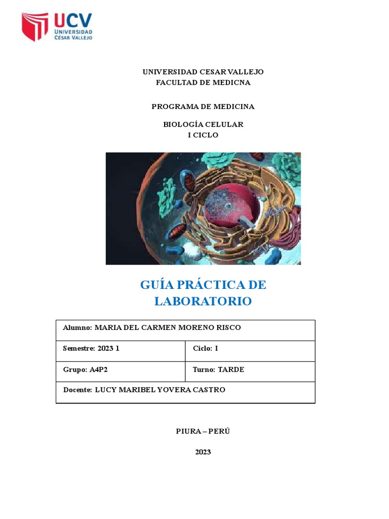 Biología Celular - Informe PC N8 | PDF | Trifosfato de adenosina | Respiración celular