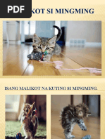 Demo PPT Letrang M | PDF