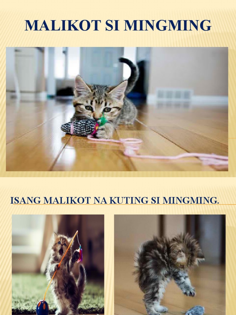 Malikot Si Mingming | PDF