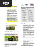 Cronquist (1981) | PDF | Plants | Family