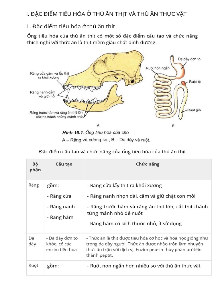 Dvat | PDF