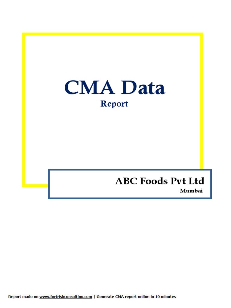 CMA Sample Report | PDF | Fixed Asset | Working Capital