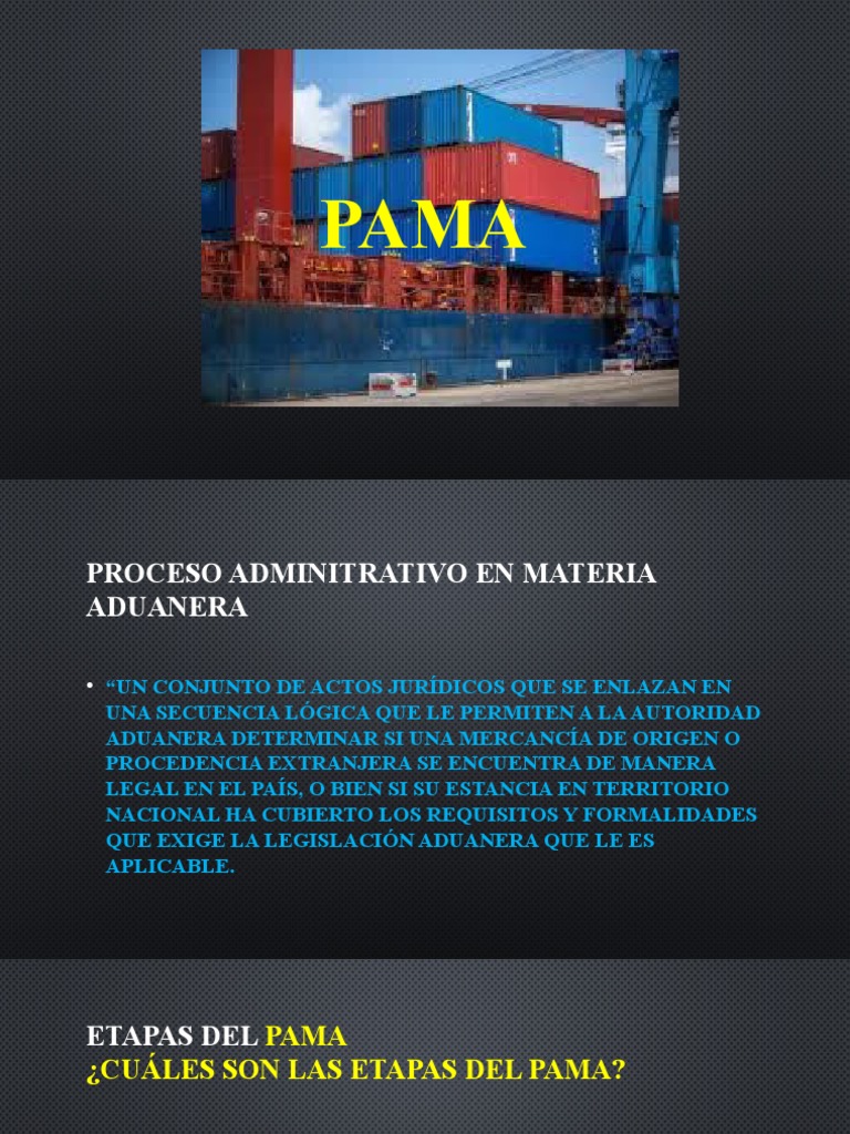 Etapas Del PAMA | PDF | Justicia | Crimen y violencia