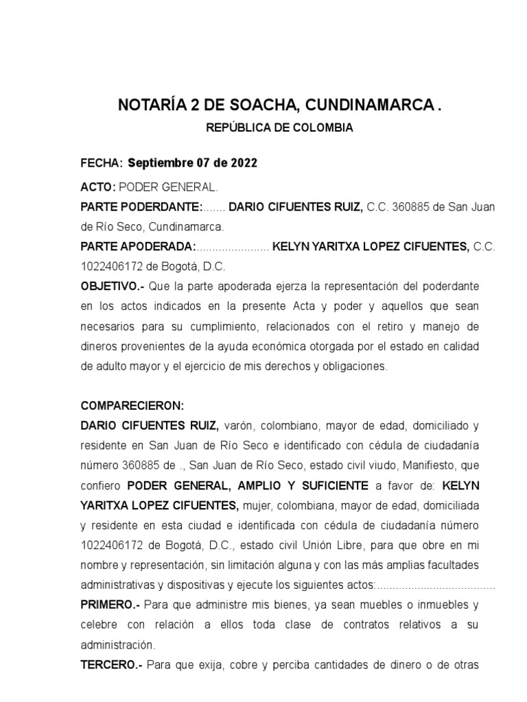 Modelo Poder General Corto | PDF