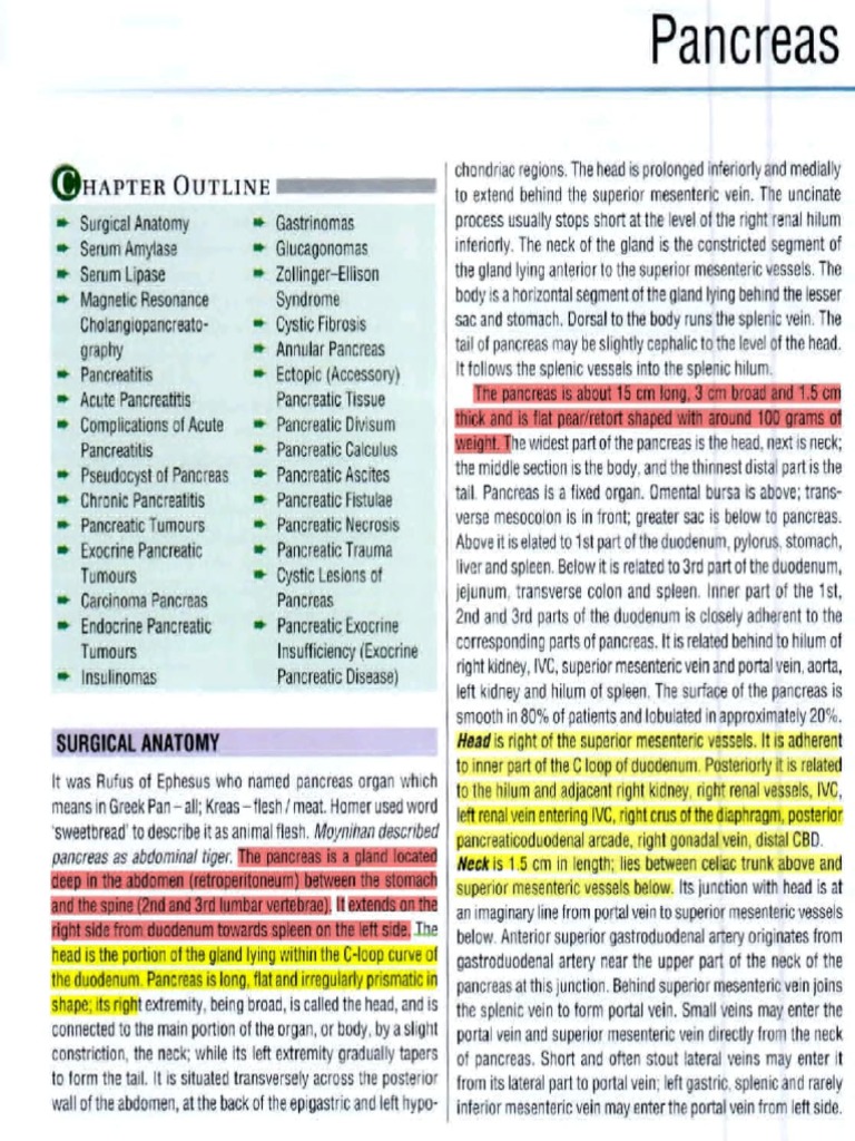 Pancreas | PDF