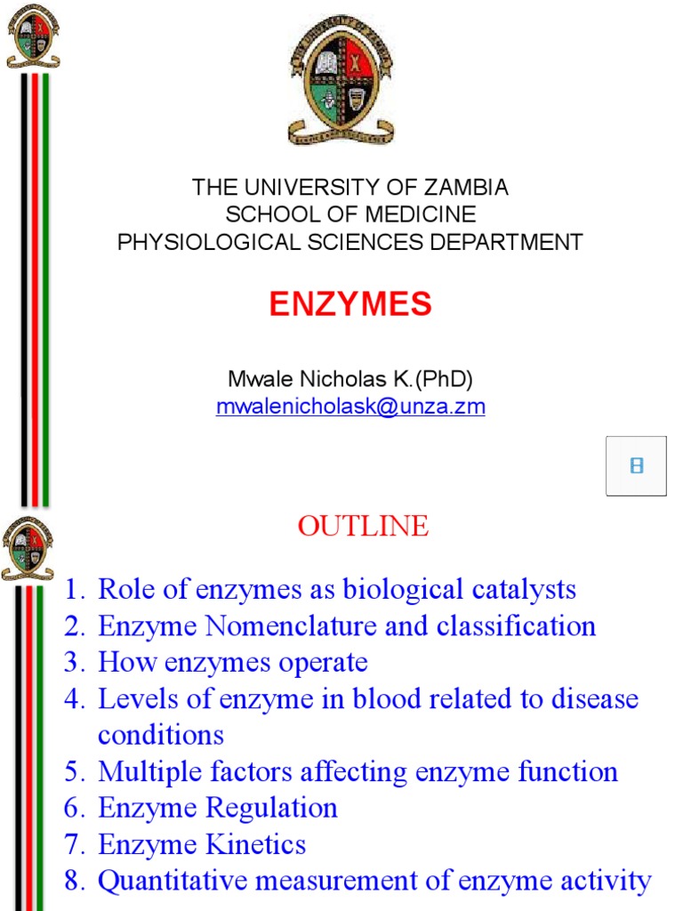 Enzymes Notes | PDF | Enzyme Inhibitor | Enzyme