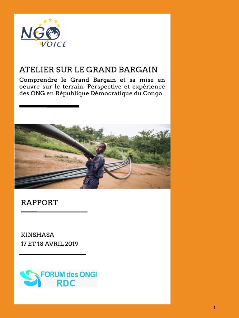 Atelier sur le Grand Bargain en RDC | PDF | Organisation non ...