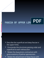 Palmar Hand Anatomy Overview | PDF | Hand | Musculoskeletal System