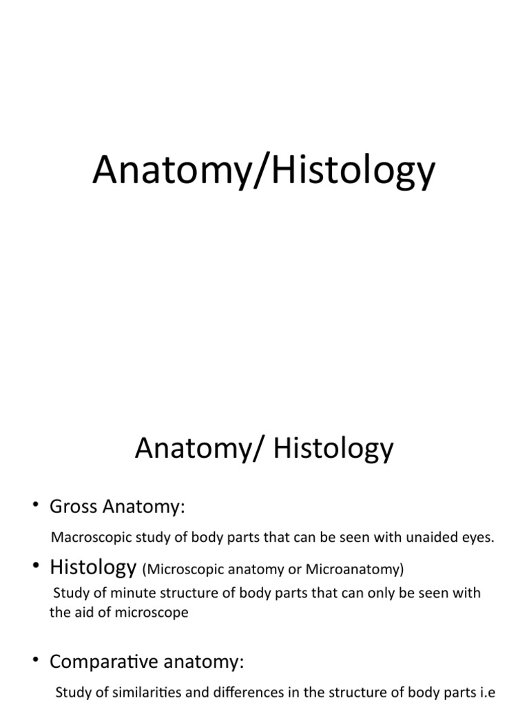 Anatomy and Histology | PDF | Anatomical Terms Of Location | Anatomy