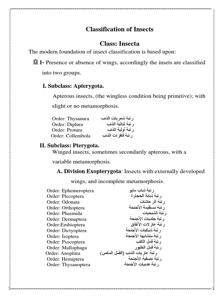 Insect Classification Guide | PDF | Insects | Hexapoda