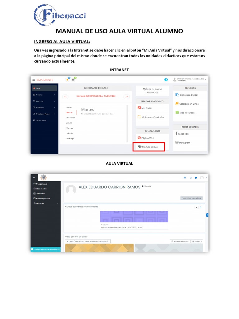 Manual de Uso Aula Virtual Alumno | PDF