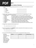 Directional Terms Worksheet | PDF