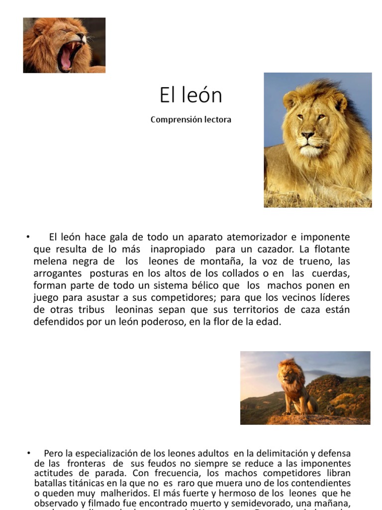 El León | PDF | León
